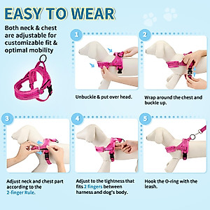 SlowTon No Pull Small Dog Harness and Leash Set, Puppy Soft Vest Harness Neck & Chest Adjustable, Reflective Lightweight Harness & Anti-Twist Pet Lead Combo for Small Medium Dogs (Fuchsia, XXS)