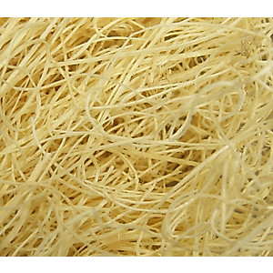 Josh's Frogs Melanogaster Fruit Fly Culturing Kit with Media, Vented Cups, and Excelsior (Small)