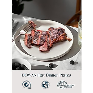 DOWAN 10.5” Moon-White Sesame Glaze Large Dinner Plates Set of 6, Porcelain Ceramic, Microwave, Oven & Dishwasher Safe, Elegant Design Perfect for Daily Dining, Family Gatherings, Parties & Gifts