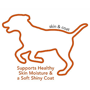 Vet's Best Skin & Coat Soft Chew Dog Supplements | Formulated with Vitamin E and Biotin to Maintain Dogs Healthy Skin and Coat | 30 Day Supply