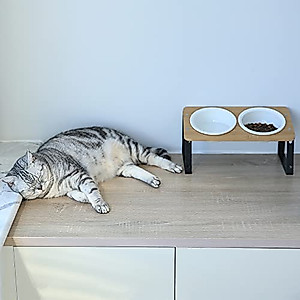Elevated Ceramic Cat Bowls,15° Tilted Cat Bowls Stand for Food and Water,Adjustable Heights Raised Pet Feeding Dish with Bamboo Stand for Cats and Small Dogs,Anti Vomiting Cat Food Table