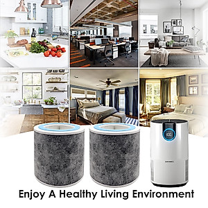 Flintar HP102 True HEPA Replacement Filter, Made in TAIWAN, Compatible with Shark Air Purifier HP100, HP102, HC450, HC451, HC452, HC455, Compares to Part # HE1FKBAS and HE1FKPET (2-Pack)