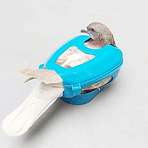 Pigeon Holder, Pigeon Injection Holder Bird Plastic Fixed Frame Easy Feeding Designed for Feeding Pigeons Fixed Mount Bird Supply(#2)