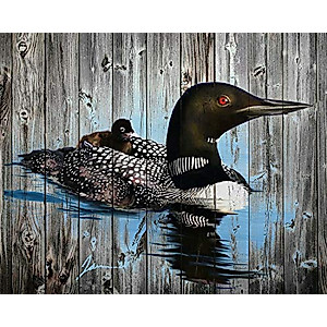 Unframed Canvas Wall Art Loon for Living Room, Bedroom Home Artwork 24x36 inches