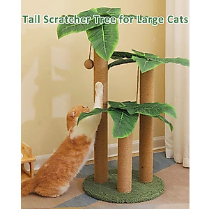 BNOSDM 35" Tall Cat Scratching Posts for Adult Cats Coconut Tree 3 Sisal Rope Claw Scratcher Dangling Ball Kitten Scratch Post Kitty Activity Center for Indoor Outdoor Cats Kittens