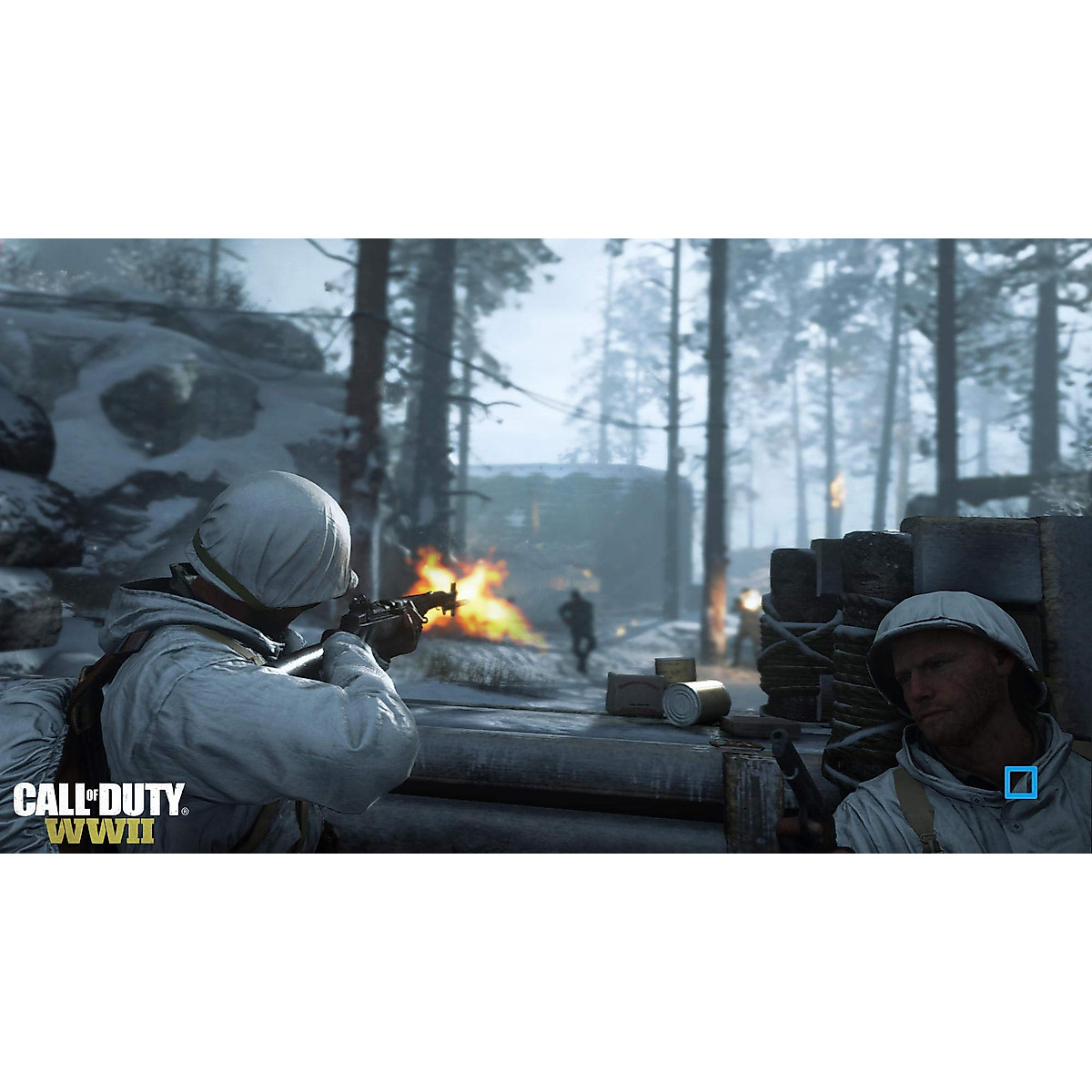 Call of Duty: World War II