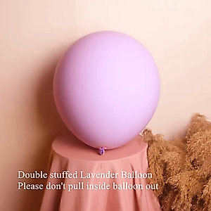 Partycus Pink Purple Balloon Garland Double Stuffed Lavender Party Balloon Macaron Light Pink Latex Pastel Balloons Arch Kit for Birthday Baby Shower Wedding Engagement Princess Party Decoration…