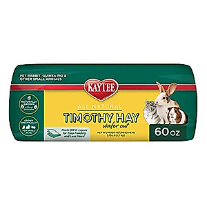 Kaytee Wafer Cut All Natural Timothy Hay for Pet Guinea Pigs, Rabbits & Other Small Animals, 60 Ounce