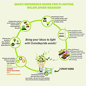 Outsidepride Cosmos Bipannutus Double Click Cranberries Garden Cut Flower Seeds - 50 Seeds