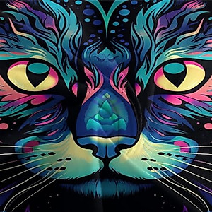 MEFESE Colorful Line Cat Theme 3D Bedding Duvet Cover Set Neon Cool Style 3 Piece (1 Duvet Cover+2 Pillowcase) for Teen Boys Girls Sports Microfiber Bedding Quilt Twin（173x218cm）