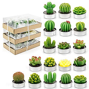 Lawei 18 Pack Cactus Tealight Candles - Handmade Delicate Succulent Mini Plants Candles - Perfect for Home Decor Candles Festival Wedding Props and House-Warming Party