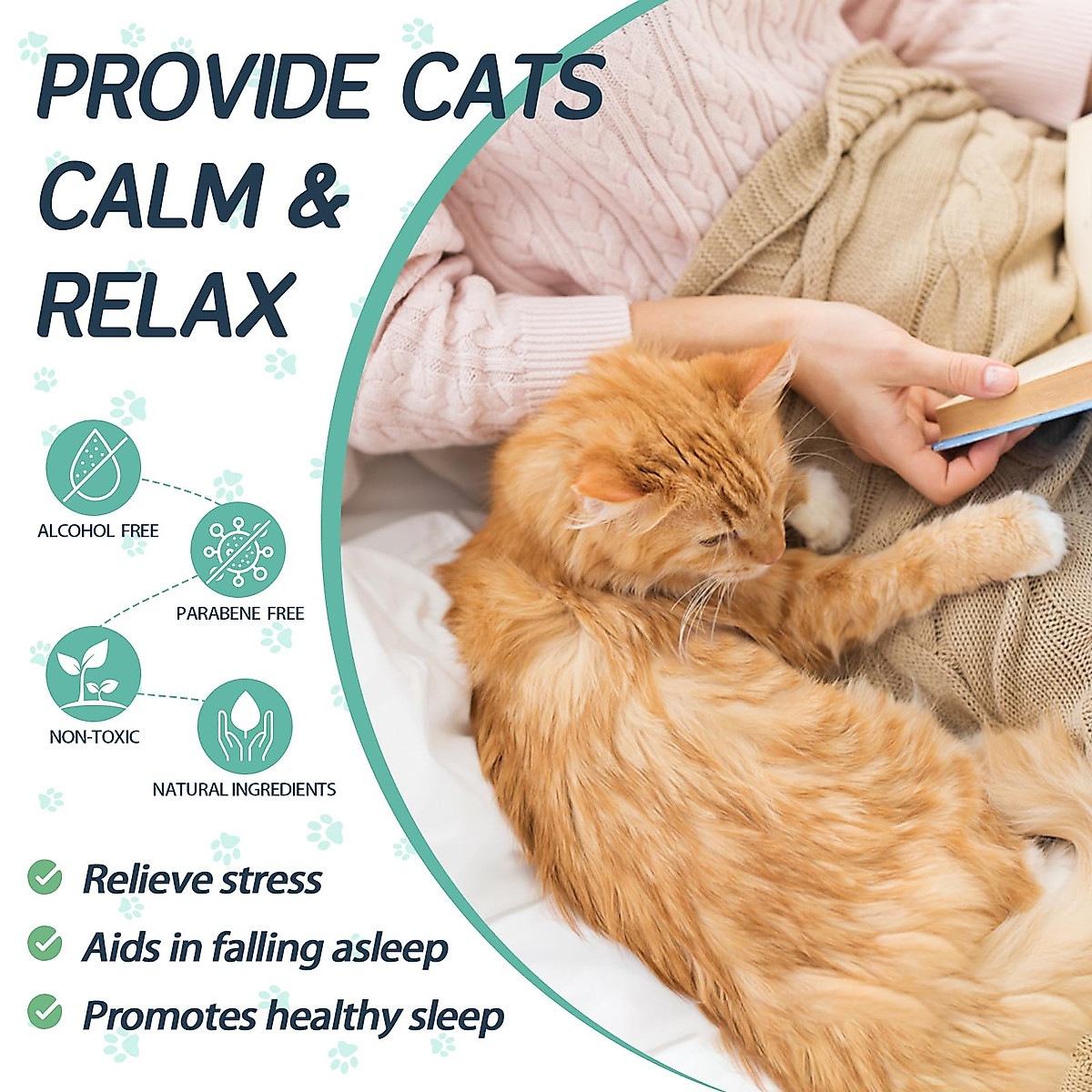 IPOTAO Cat Melatonin - Cat Calming Products for Stress & Anxiety Relief, Melatonin for Cats' Sleep Aid, Cat Relaxer Calming Drops, Support Restful Sleep for Your Cat, 1 fl oz