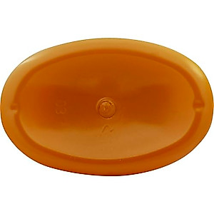 Avalon Organics Cleansing Gel, Intense Defense with Vitamin C, 8.5 Oz