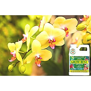 Grow Best 8-8-8 Liquid Plant Food