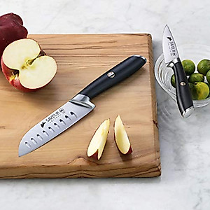 SAVEUR SELECTS 1026276 German Steel Forged 2-Piece Santoku and Paring Knife Set