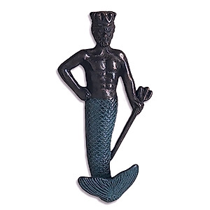 SPI Home Neptune Hook