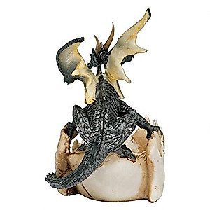 Design Toscano QS91305 Jaw of the Dragon Offering Dish Gothic Statue, 9 Inch, Polyresin, Full Color