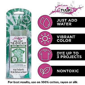 Tulip One-Step Tie-Dye Kit, Vibrant Colors for Fabric 4 fl oz, Sage