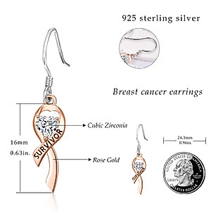 Dreamboat Breast Cancer Earrings for Women 925 Sterling Silver Pink Ribbon Earrings Breast Cancer Awareness Hook Earrings Dangle Zirconia Breast Cancer Survivor Jewelry Gifts