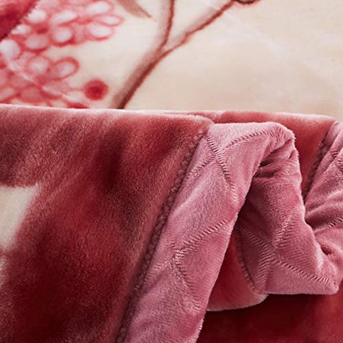 LGYKUMEG Mink Fleece Throw Blanket 59" × 79" - 2 Ply Reversible Silky Soft Plush Warm Blanket for Autumn Winter 4.4 Lb /2kg.
