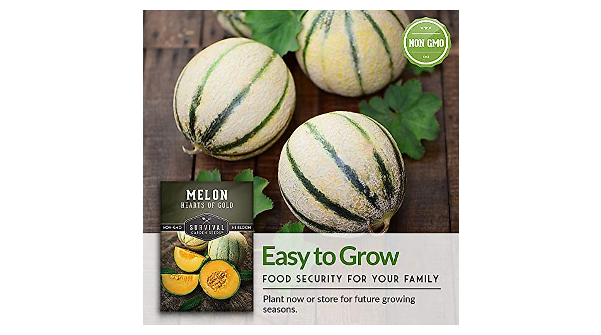 Grow Sweet Hearts of Gold Melon Seeds | Non-GMO Heirloom Variety