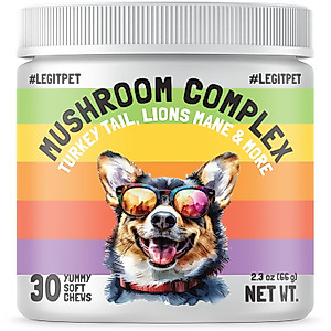 Mushroom Complex Treats for Dogs with Reishi, Shiitake, and Turkey Tail Mushrooms for Cognition and Immune Boosting Supports Digestive Health and Reduces Inflammation DHA EPA Turmeric Kelp 30 Chews