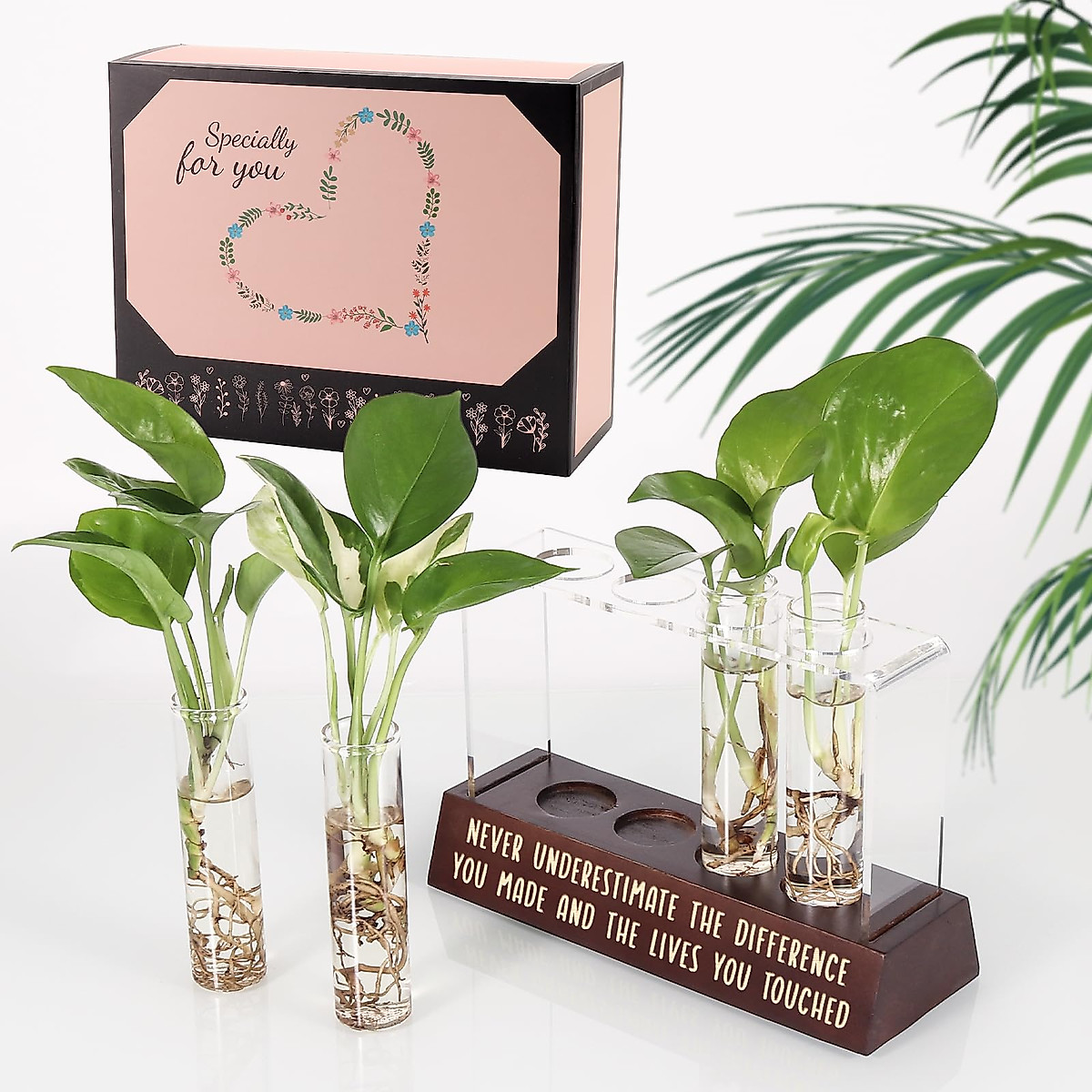 WelDesine Goodbye Gifts for Coworkers Leaving Gifts for Women, Planter Terrariums, Farewell Gifts for Friends, Going Away Gift for Boss Leaving Job, Retirement New Job Gifts for Men on Desk, SPJ001