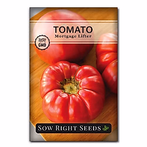 Sow Right Seeds - Mortgage Lifter Tomato Seeds for Planting - Meaty 1 to 2 lb Flavorful Fruits - Non-GMO Heirloom - Instructions to Plant a Home Vegetable Garden - Giant Beefsteak-Type - Great Gift