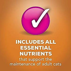 Purina Friskies Gravy Pate, Wet Cat Food Extra Gravy Pate With Chicken in Savory - (Pack of 24) 5.5 oz. Cans