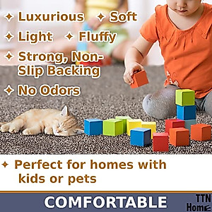 TTN Home Entryway Rug 24" x 36", Front Door Mat Indoor Entrance, Indoor Door Mat, Microfiber Rugs for Entryway, Entry Throw Rug with Rubber Backing Washable, Absorbent Door Mat, Muddy Mat for Dog