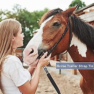 Trailer Tie for Horse Haulage, Cross tie with Adjustable Nylon Straps with Panic Snap and Bull Snap Fixed Eye Equestrian Equipment Black, Aadjustable from 28" to 46"