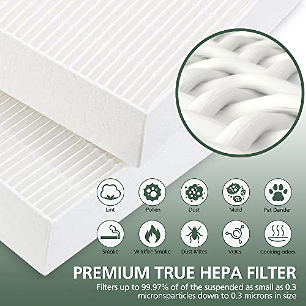 HPA100 True HEPA Filter Replacement HRF-ARVP100 for Honeywell HPA100 Series Air Purifier, HPA094, HPA104, HPA105 HPA3100, HPA5100 Series, 2 HEPA R and 8 Precut Carbon Pre-Filters A