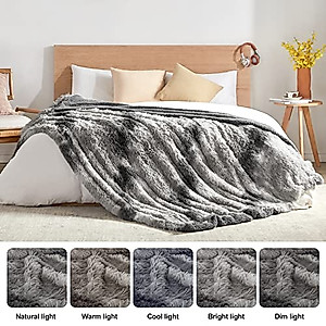 BEAUTEX Faux Fur Throw Blanket, Soft Sherpa Fluffy Blankets, Warm Thick Plush Flannel Blanket, Luxury Fuzzy Blankets for Room Decor, Shaggy Comfy Blanket for Couch Sofa Bed Grey, 50x 60
