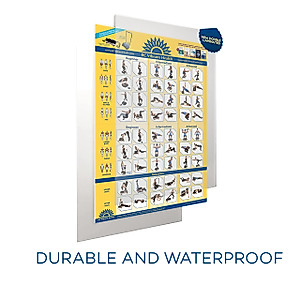 Full Body Vibration Poster Whole Body Vibration Plate Exercise Chart Workout Poster for Vibration Plate Exercise Machine