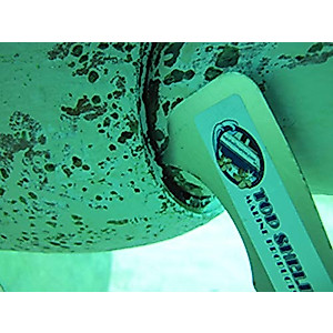 "Dirty Bird", Boat Scraper, Hull Scraper, Heavy Duty Stainless Steel Scraper, Barnacle Scraper, Bottom and Hull Scraper, Marine Grade Scraper, Barnacle Remover Tool, Boat Hull Scraper