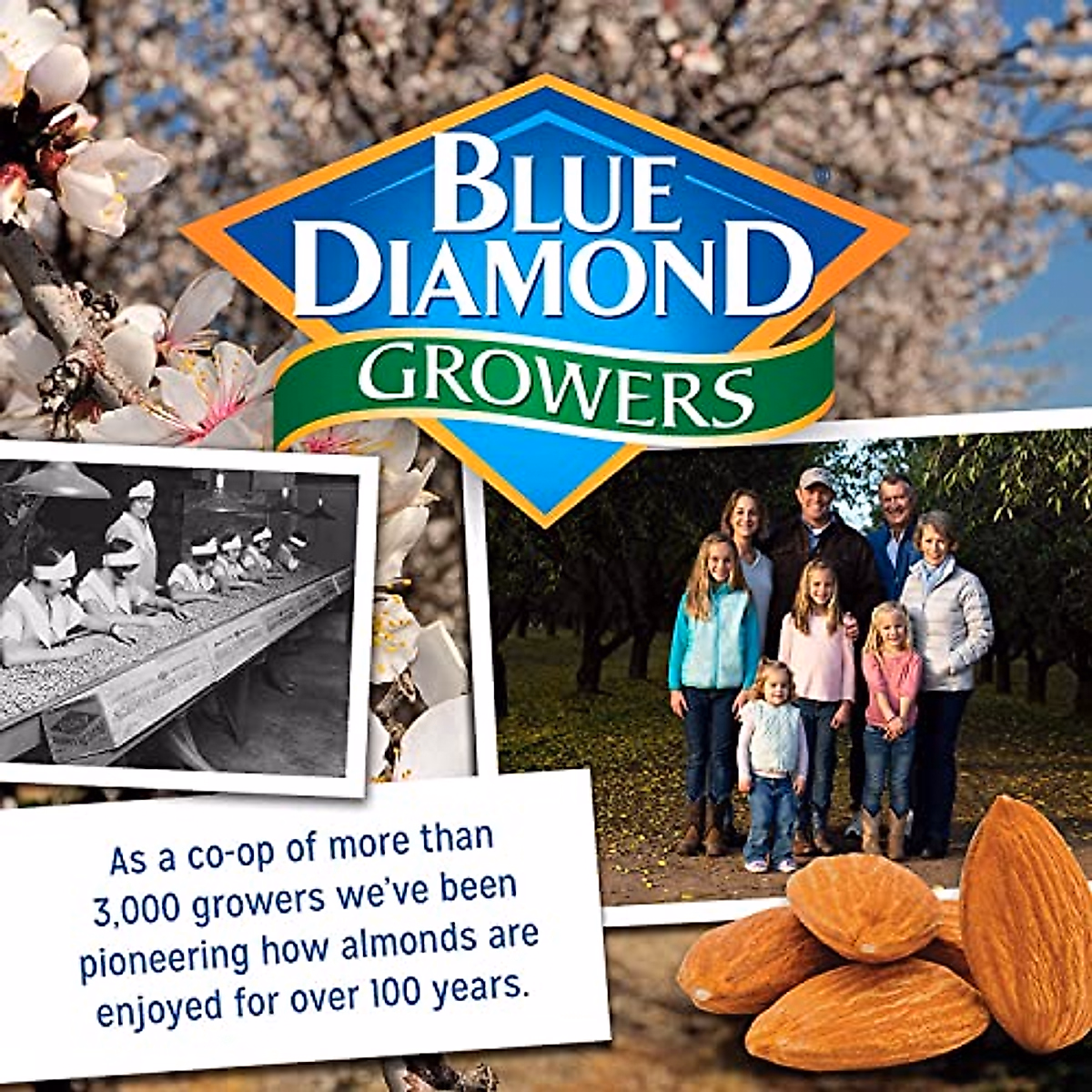 Blue Diamond Almonds Snack Nut Variety Pack for Kids, Office, School, On-the-go, 0.75 oz Gluten Free Individual Packs, Wasabi & Soy Sauce, Lightly Salted, and Smokehouse (Pack of 1,24 Count Total)