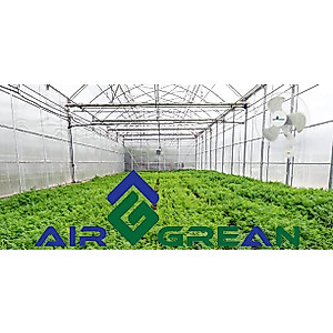 AirGrean Pro Oscillating Wall Mount Fan (16''), white