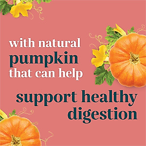 EverRoot by Purina Digestion Dog Supplements Soft Chews - 10.6 oz. Canister