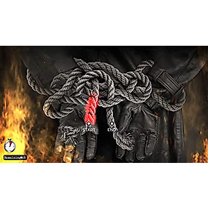 Chicken Police: Paint it Red! [PlayStation 4] [ ]