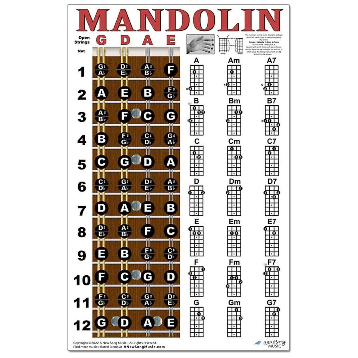 Laminated Mandolin Fretboard Notes & Easy Beginner Chord Chart 11"x17" Instructional Poster by A New Song Music