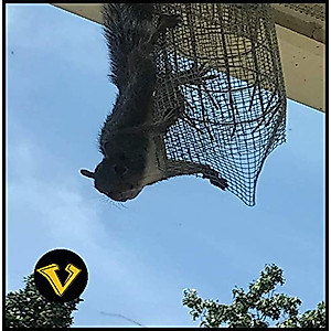 Verminators - Wildlife Evictions Squirrel Safety Exit Tunnel