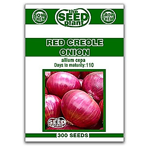 Red Creole Onion Seeds - 300 Seeds