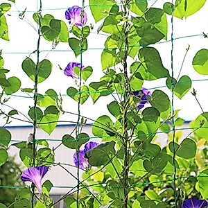 ZERIRA 2 Pack Plant Trellis Netting Plant Support Climbing Net Nylon Trellis Netting Garden Netting for Plants Cucumbers, Flowers Vine, Vegetables (5.9Ft x 8.86Ft)