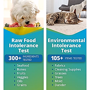 5Strands Pet Raw Food Intolerance & Environmental Sensitivity Test, at Home Test for Dogs & Cats, Hair Sample Collection Kit, All Ages and Breed, Results in 7 Days