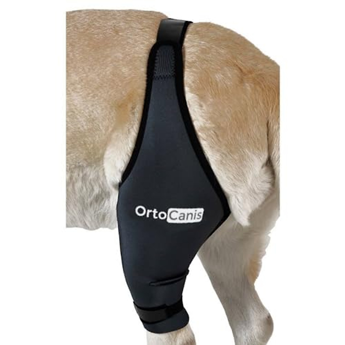 Ortocanis Dog Knee Brace for Torn Acl Hind Leg, Cruciate Ligament Injuries, Patella Dislocation or Osteoarthritis - Dog Acl Knee Brace - Dog Braces for Back Leg for Support (XXX-Small, Left Leg)