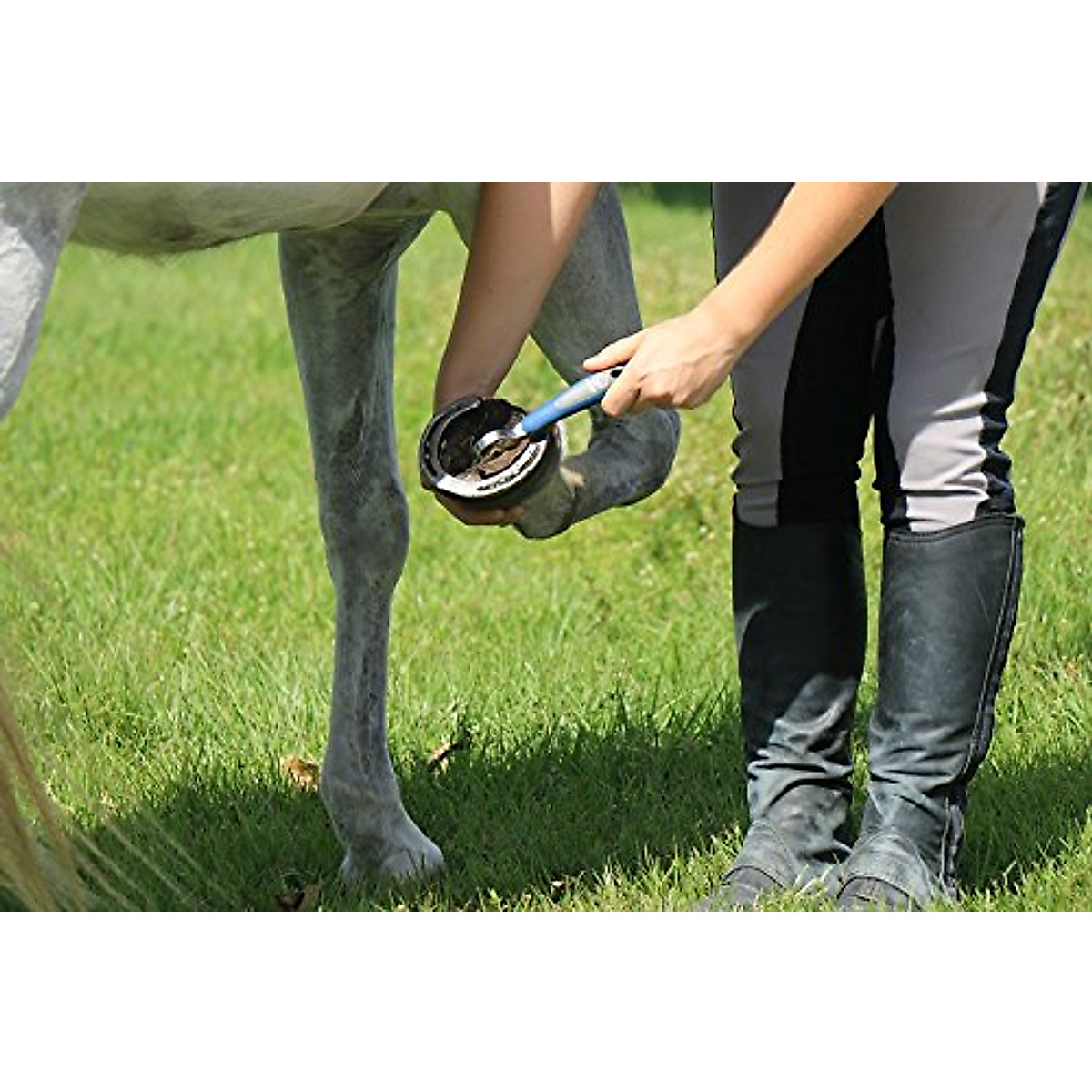 Oster Equine Care Series 7-Piece Horse Grooming Kit
