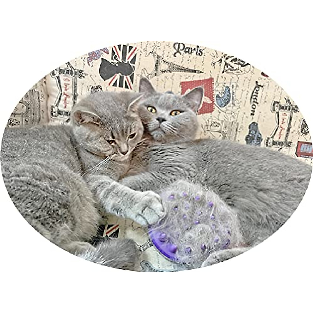 THKUTRUST Pet Brush, For Grooming,Shedding hair, Bathing, and Massaging .Non-Toxic, Easy to Clean, Round-Shaped (Purple)