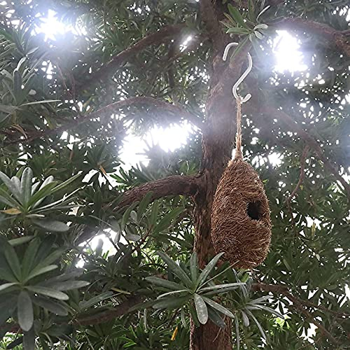 DINGEE 6 inch Non Slip Rubber Coated White S Hook Heavy Duty,6 Pack Large Vinyl Coated S Hooks, Metal S Shaped Hanger Hooks for Hanging Plants Outdoor,Closet Rod ,Jeans, Pot Pan Cups Towels Hats