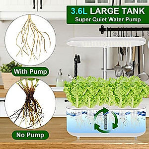SXDLED Hydroponics Growing System with 10 pods, Herb Garden Kit Indoor with 104 Grow Light, Indoor Gardening System Hydroponic Garden with Automatic Timer, Quiet Water Pump,Height Adjustable(White)