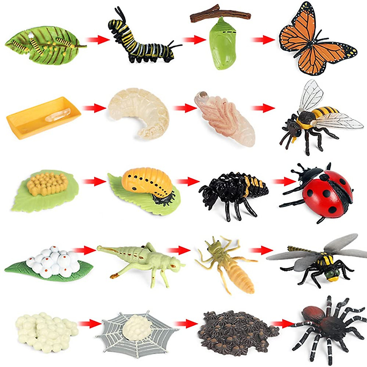20 PCS Life Cycle Figurines of Butterfly Spider Bee Ladybug Dragonfly, Plastic Insect Bug Figures Toy Kit, Early Education Growth Stage Model Biology Science Toys School Project for Kids Toddlers